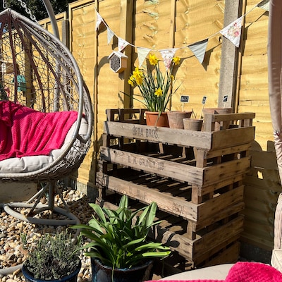 10 Vintage Retro Wooden Potato Chitting Trays or Bushel Boxes - Etsy UK