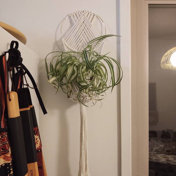 AIR PLANT | Macramé Mini Wall Hanger | Houseplant Hanging Planter ...