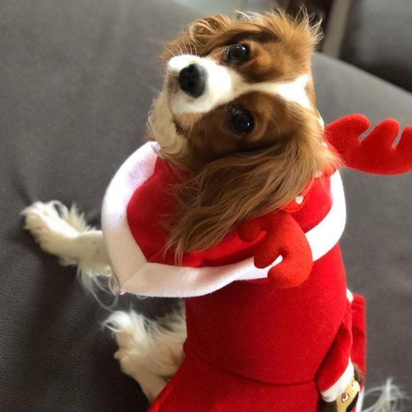Pet Costume for Christmas, Plush Christmas Dog,dog Costume, Pet ...