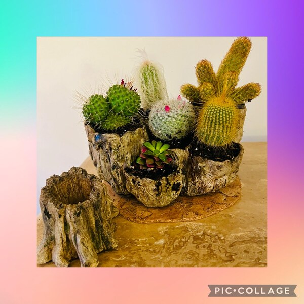 Concrete Tree Troll Planter, Concrete Tree Troll Pot, Faux Tree Troll ...