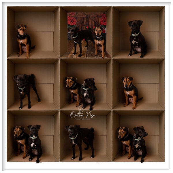 PNG Overlay, 9 Empty Cardboard Boxes Template, Inside the Box, PNG ...