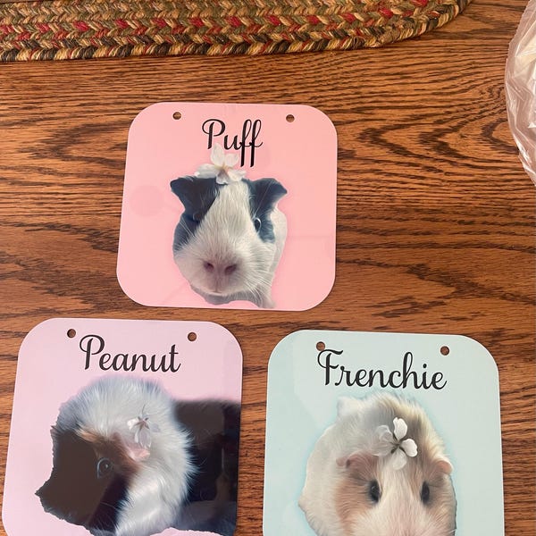 Guinea Pig Name Tag, Guinea Pig Accessories, Pet Tag, Guinea Pig ...