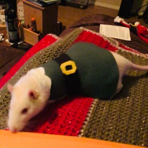 Jack O' Lantern Cape Costume for Pet Rats Orange Cape | Etsy