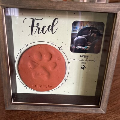 Personalized Pet Shadow Box, Pet Memorial Coller Holder Frame, Pet Loss ...