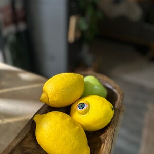 Realistic Life Sized Freaky Fruit All Seeing Lemon by Dead Head Props ...