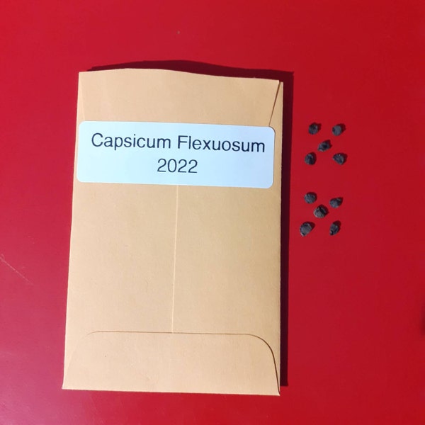 Cold Hardy Chili Pepper Seeds - Capsicum Flexuosum, Aka February Fire ...