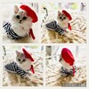 Complete French Cat Outfit Cat Beret, Ascot and Striped Shirt Pet ...