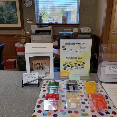 Spring Trivia,printable Multiple Choice Spring Game for Kids & Adults ...