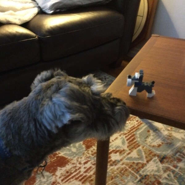 Customisable Lego Miniature Schnauzer - Etsy