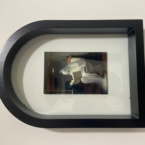 Botanical Dragon, Dark Cottagecore Wall Art, Gothic Home Decor, Moody ...