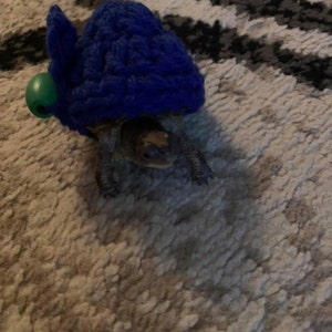 Tortoise Sweaters, Pet Costume, Turtle Sweater, Cute Animals, Tortoise ...