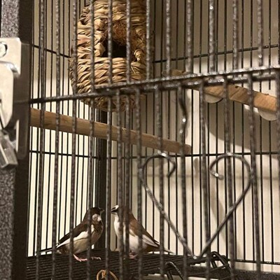 Cute Yoga Monk Statue Buddha Sculpture Novice Monk Ceramic - Etsy