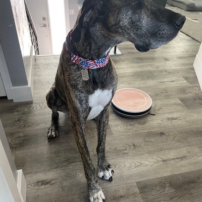 Aztec 2 Inch Dog Collar 1 Inch Wide Dog Collar Large Dog - Etsy