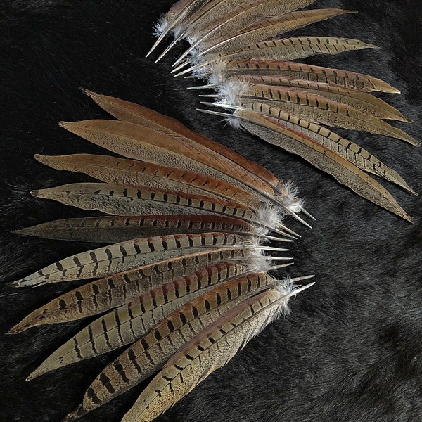 40 Mallard Blue Duck Wing Feathers 4" - 5" / 10 - 13cm - Etsy