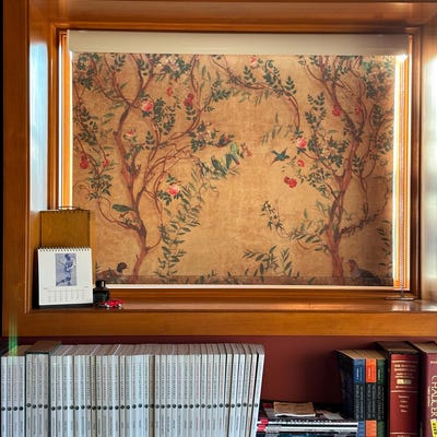 Lake in a Forest Roller Shades, Sunset Printed Roller Blinds for Window ...