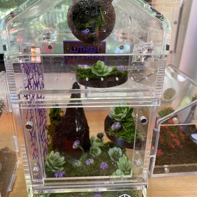 JC Decorated Hexagon Enclosures - Etsy