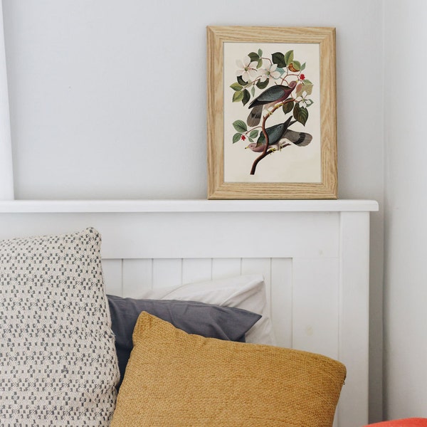 Collection of Vintage Botanical Prints, Set of 9 Antique Watercolor ...