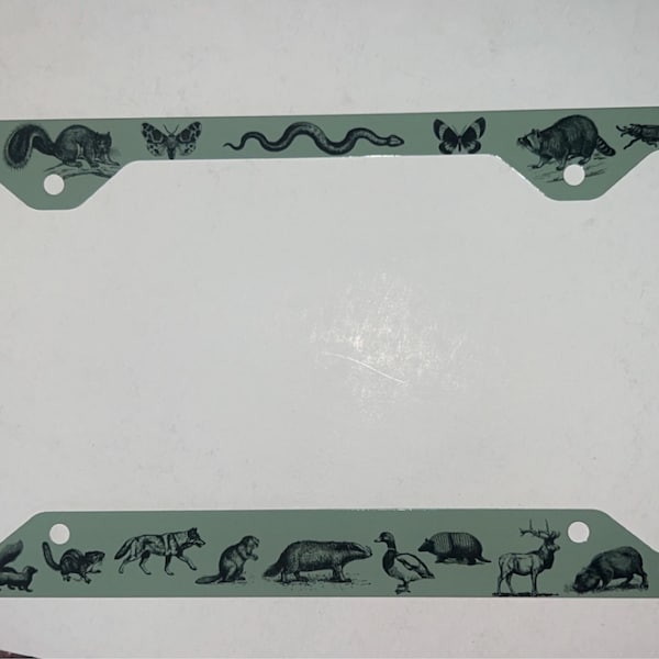 Insects License Plate Frame - Entomology Entomologist Car Truck Gift ...
