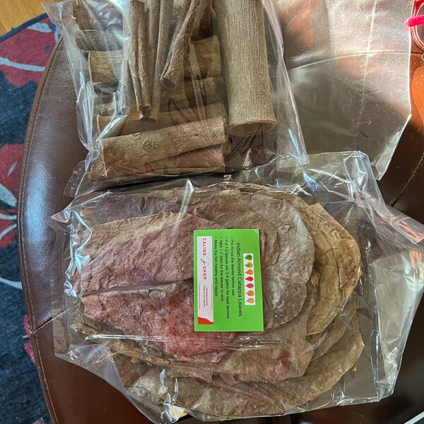 Large Natural Cuttlebone Cuttlefish Bone Bird, Reptile, Turtle Food ...