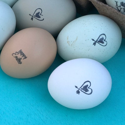 Mini Egg Stamp Chicken in an Arrow Heart Chicken Babies Mini Egg Stamps ...
