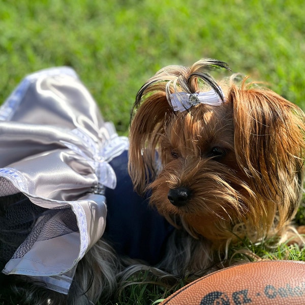 Seattle Seahawks Dog Vest Pet Coat Outfit - 2 Layers of Fleece - Etsy