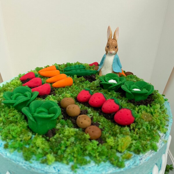 Fondant Vegetables for Cake/cupcake Peter Rabbit Theme Style - Etsy