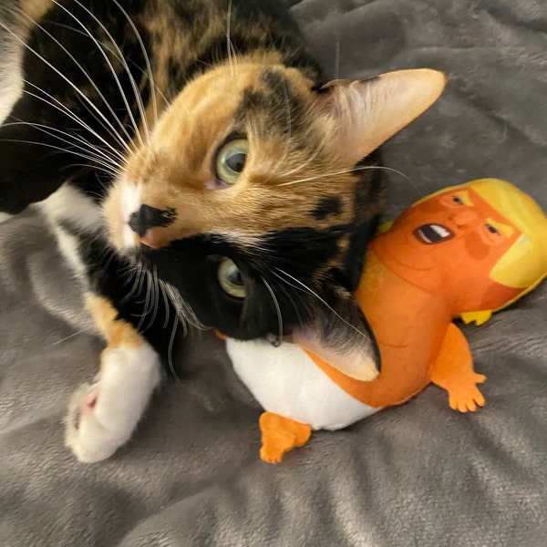 Donny-doll- Catnip Stuffed Baby Trump Doll. Baby Donald Trump Cat Toy ...