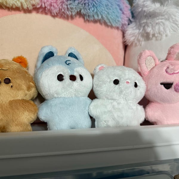 Stray Kids Jiniret Skzoo Skz Fanmade 10 Cm Doll - Etsy