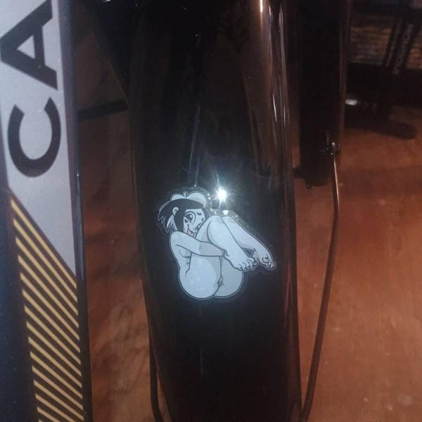 Shantae Stickers - 4x6" Kiss Cut Sticker Sheet - Etsy