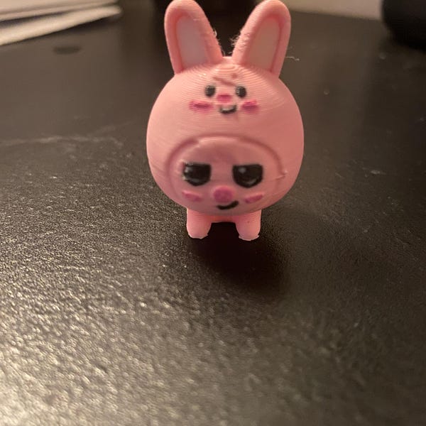 Stray Kids Skzoo Mini 3D Print Figures - Etsy