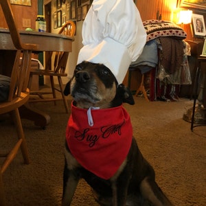 Chef Dog Costume Hat and Red Scarf - Etsy
