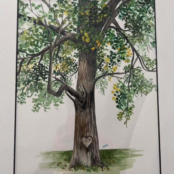 Watercolor State Tree of Virginia, State Tree of Missouri, Flowering ...