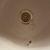 Elegant Turquoise Blue Hand-painted Ceramic Basin With 14K Gold Touches ...