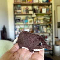 Elephant Shrew Stuffed Toy - Native African Animal Shrew Plush - Sengi ...