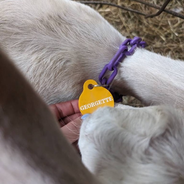 Custom Goat and Sheep Collar Tags - Etsy
