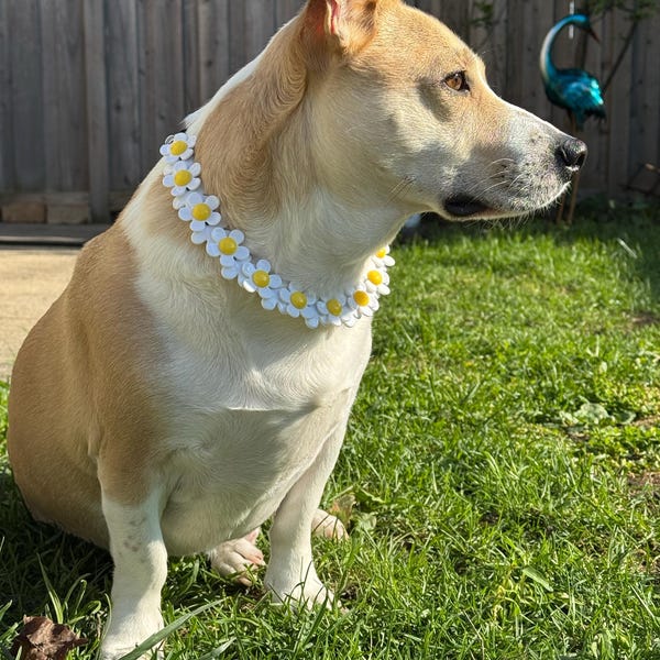 Sunny Daisy Medium Flower Bead Dog Collar, Floral Beaded Dog Necklace ...