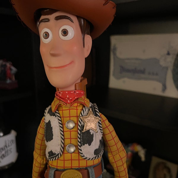 Poultry Palace-star Command Toy Story Display - Etsy