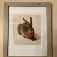 Rabbits Jackrabbits Young Hare Albrecht Dürer FINE ART - Etsy Sweden