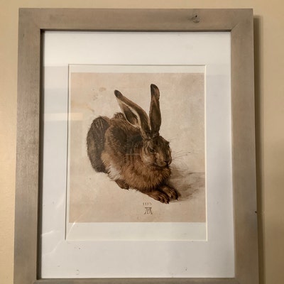 Rabbits Jackrabbits Young Hare Albrecht Dürer FINE ART - Etsy Sweden