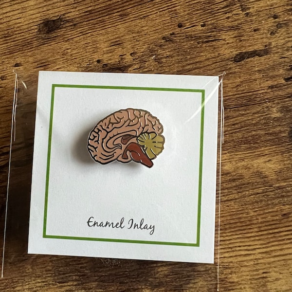 Brain Enamel Lapel Pin- EP107- Brain, Stroke, Medical and Anatomy ...