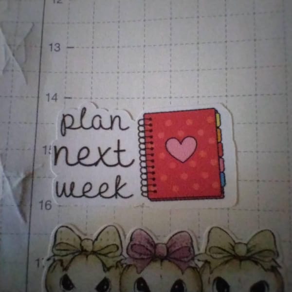 2481~~plan Next Week Planner Stickers. - Etsy