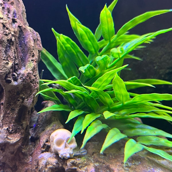 Plastic Moss Pads: Artificial Aquarium Plants - Reptile Terrarium ...