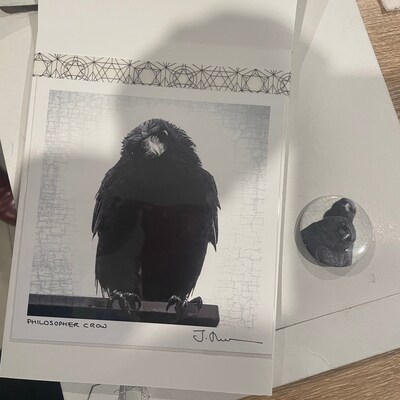 Raven Peace A Single Raven in the Top of a Tree Signed Fine - Etsy