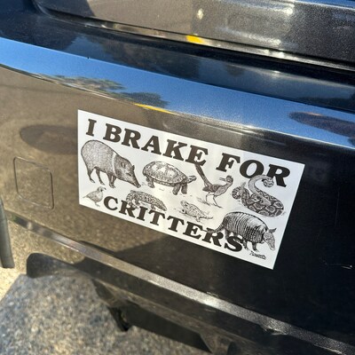 Honk If You're the Drama Bumper Sticker Womens Gifts Accessories Gen Z ...