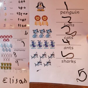 Reception Key Words High Frequency Words Starting School - Etsy UK