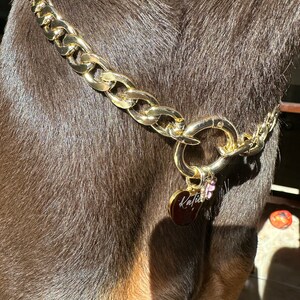 Chain Link Dog Necklace, Lightweight Dog Chain Collar, Dog Necklace for ...