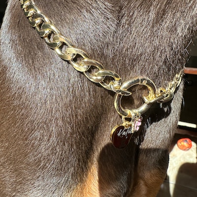 Chain Link Dog Necklace, Lightweight Dog Chain Collar, Dog Necklace for ...