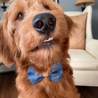 Denim Dog Bow - Etsy
