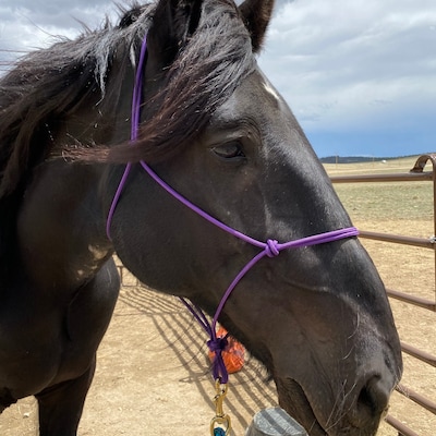 Custom 2 Knot Rope Halter, Clinician Rope Halter, Yacht Rope Halter ...