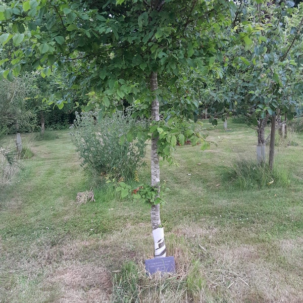 House Sign | Slate House Plaque | Slate Name Plates | House Name Plates ...